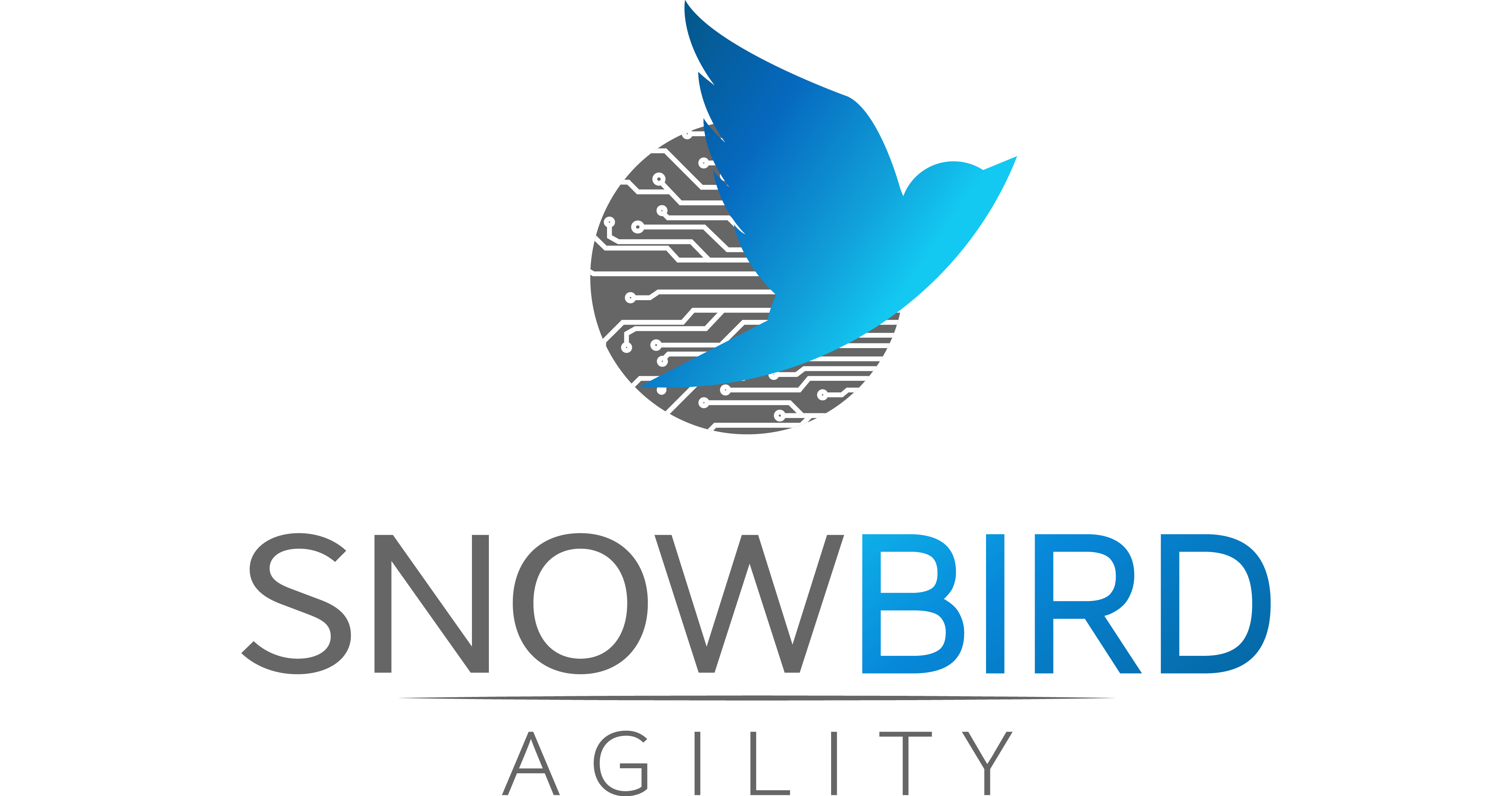 Snowbird Agility - Executive Assistant to the CEO Application