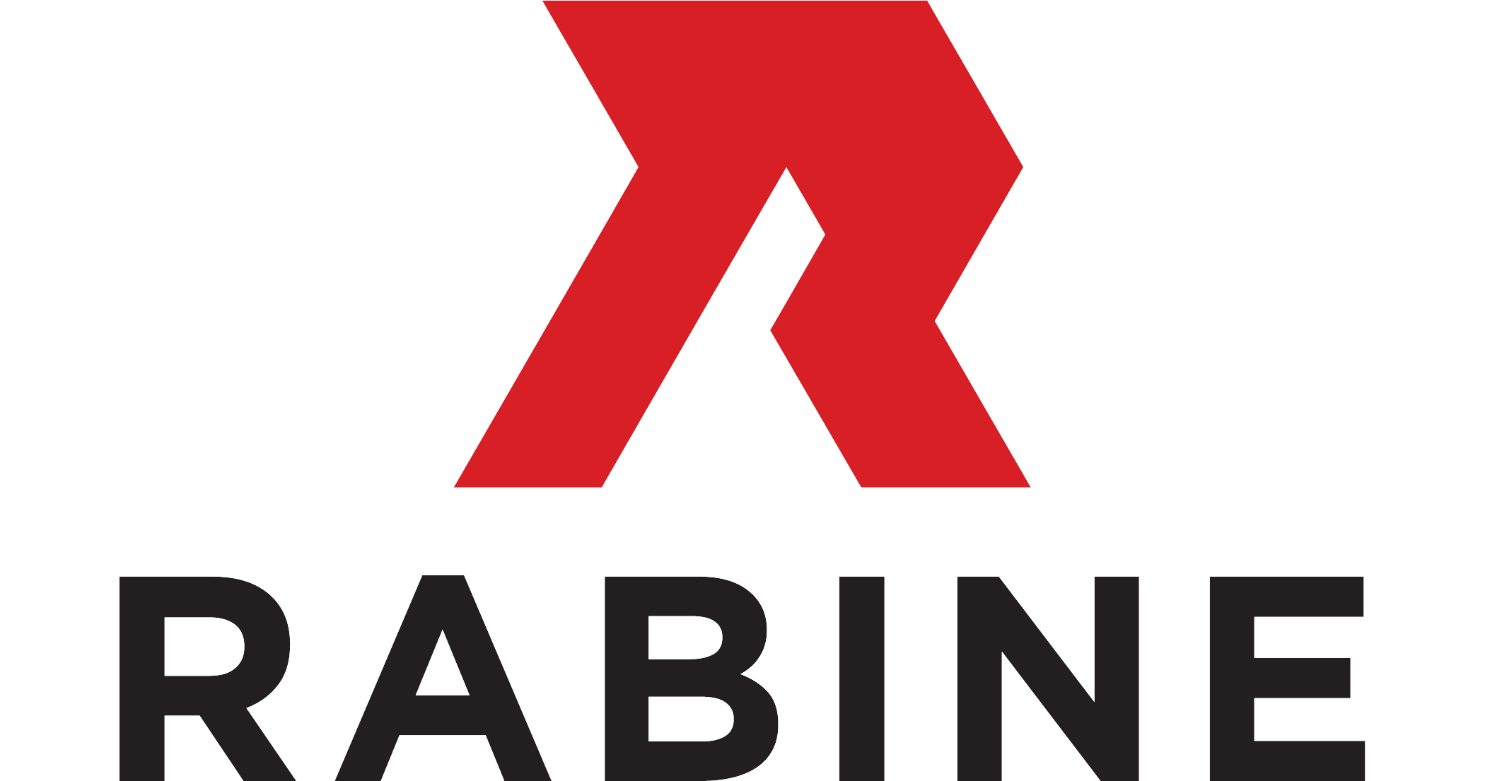 Rabine LLC - VP of Sales Application